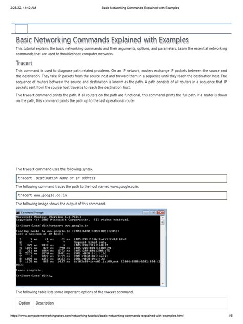 Basic Networking Commands Explained With Examples Pdf Domain Name System Ip Address