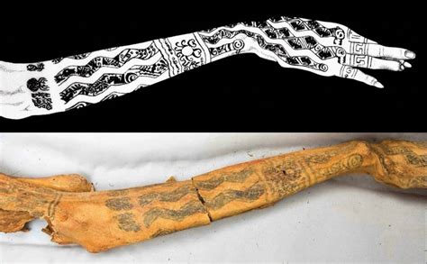 Pin By D Young On Pazyryk Scythian Steppe Cultures Ancient Tattoo