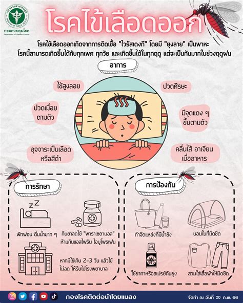 โรคไข้เลือดออกเกิดจาก คลังสื่อ สำนักงานป้องกันควบคุมโรคที่ 5