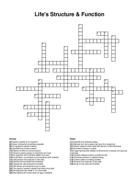 Lifes Structure And Function Crossword Puzzle