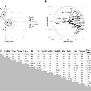 PCA Plot A PCA Variable Correlation Plot B And Spearman Download Scientific Diagram