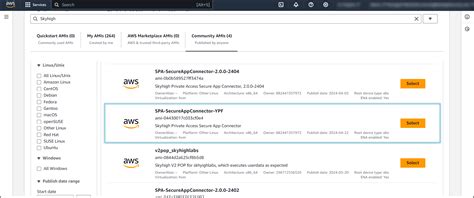 Deploy Secure App Connector V2 On Aws Without Cloudformation Template