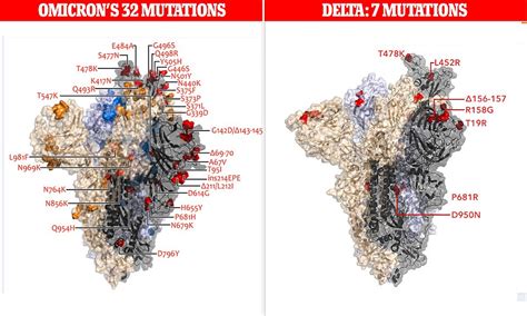 Shocking Graphic Of Omicrons Mutations Reveals Why Scientists Are