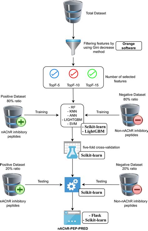 Work Architecture Used In This Study For The Construction Of The Download Scientific Diagram