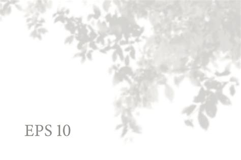 투명 천연 사과 나무 가지 그림자 라이트 효과 오버레이 메시 그리드 디자인 카드 포스터 사진 사실적인 일러스트 를 발표 그림자에 대한 스톡 벡터 아트 및 기타 이미지