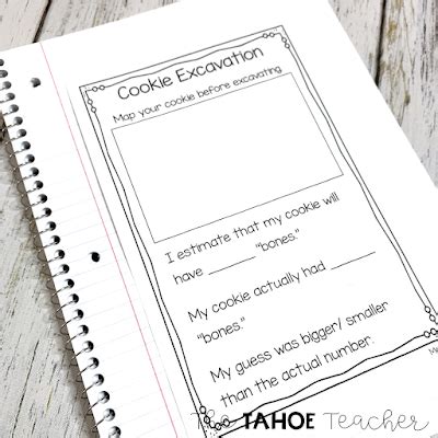 Teaching Fossils In K The Tahoe Teacher