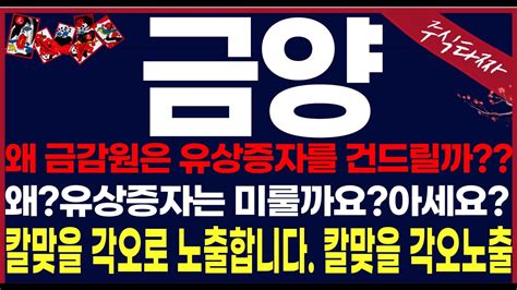 금양 주가 전망 토요일긴급분석 유상증자 연기의비하인드를 노출합니다정확히 이때부터 오를겁니다필수시청바랍니다에코프로 에코프로비엠 금양 Youtube