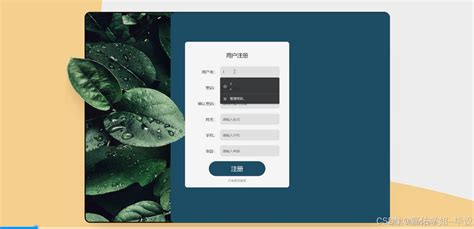 Springboot毕设唱片商城系统程序论文 Csdn博客