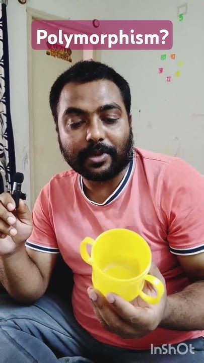 What Is Polymorphism Explained In Best Wayoopsconcept