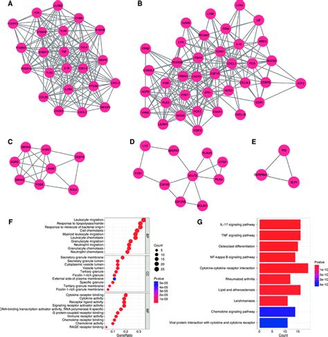 significant gene module and enrichment analysis of the modular genes