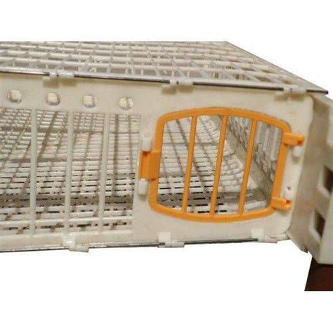 Cusca Pentru Prepelite