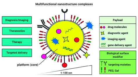 Schematic Illustration Of Nanostructure Based Multifunctional