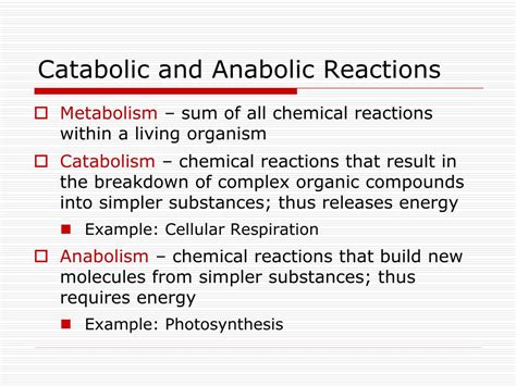 Ppt Chapter 8 Cellular Respiration Outline Powerpoint Presentation