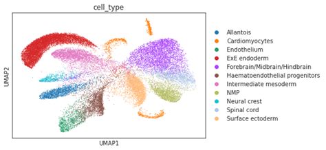 Tutorial 1 — Spann
