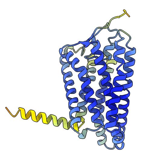 Chimerax Structure Visualization