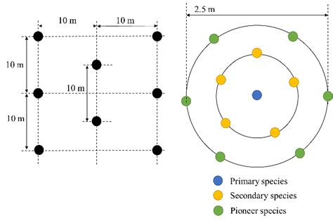 Cluster Planting Design Left And Cluster Composition Right