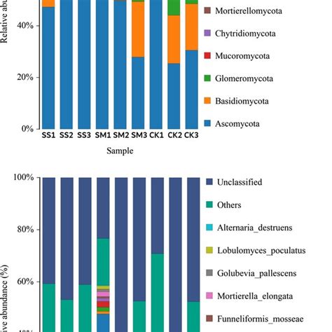 Nmds Plots Of The Bacteria And Fungi Community In Different Download Scientific Diagram