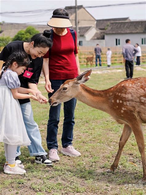 宁波本地人带路不踩雷！吃喝玩零套路 东论 东方热线·东方论坛 宁波论坛——家长里短写你我身边事