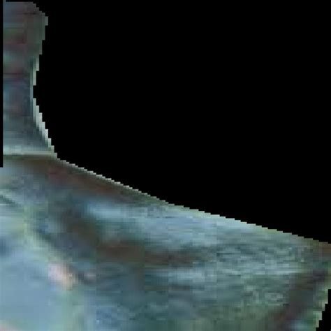 Cabbage Object Detection Model V Am By Disease Research