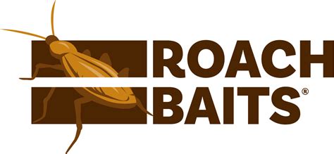Albino Roach: A Guide to White Cockroach – Roach Baits