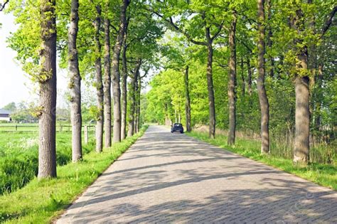 네덜란드의 시골길 사진 배경 및 무료 다운로드를위한 그림 Pngtree