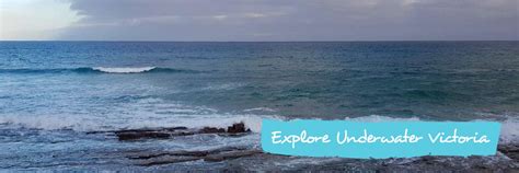 Central Bass Strait Marine Bioregion Victorian National Parks