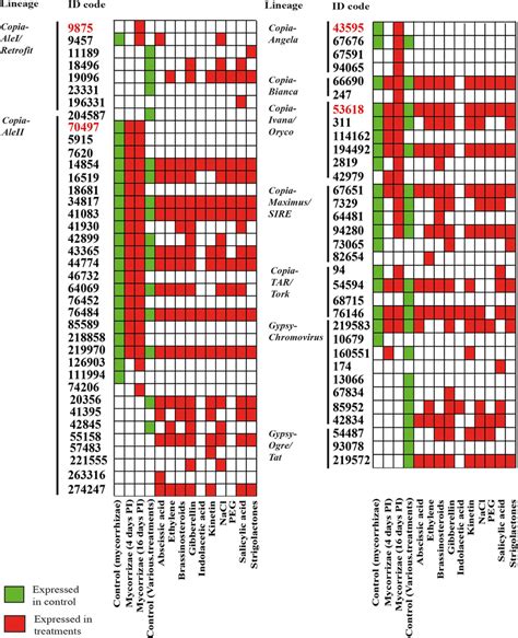 Expression Of Reverse Transcriptase Rt Encoding Sequences After