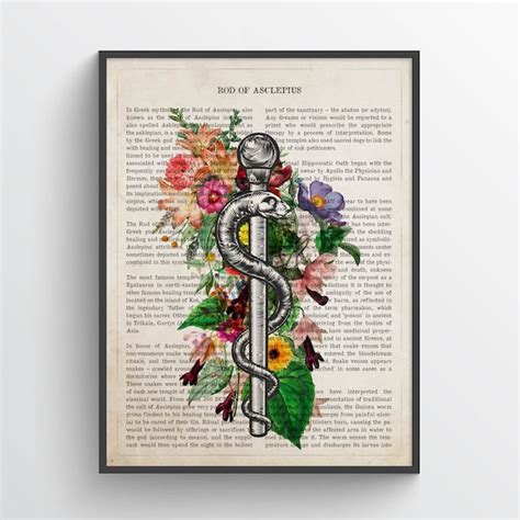 Asclepius Etsy