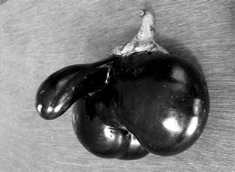 Fruits And Vegetables That Look Suspiciously Sexual First We Feast