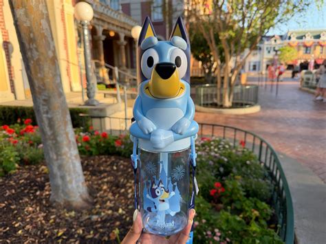 Full Guide To Experiencing ‘blueys Best Day Ever At Disneyland Resort