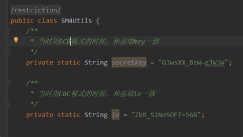 vue和springboot实现sm4加密和解密（前端可加密，后端可加解密，md5同理） 腾讯云开发者社区 腾讯云