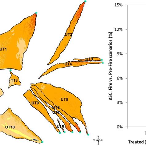 Simulated Scenario Of Sediment Connectivity And Main Forest Download Scientific Diagram