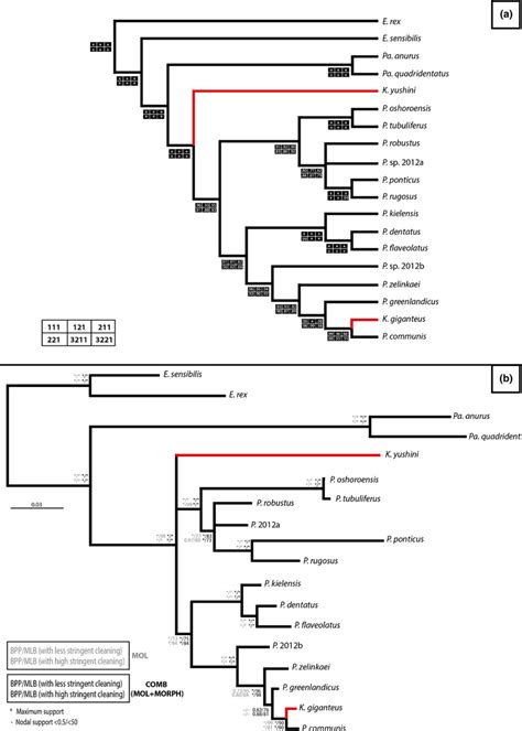 Phylogenetic Tree Of Combined And Molecular Data A Phylogenetic Tree Download Scientific