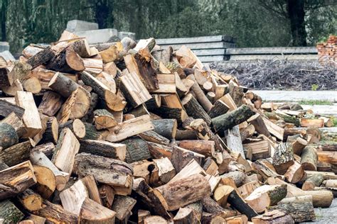 The Ultimate Guide To Starting A Profitable Firewood Business