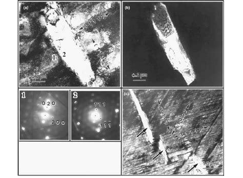 Tem Observations Of The Nuclei Of New Grains In The Sample Deformed To