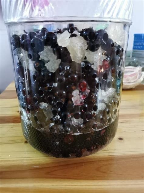 【自制葡萄酒图片】克利欧区下厨房