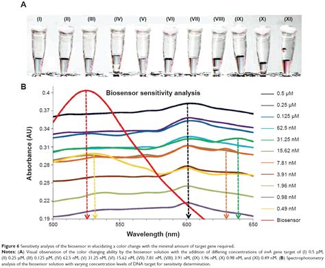 Colorimetric Biosensing Of Targeted Gene Sequence Using Dual Nanoparti Ijn