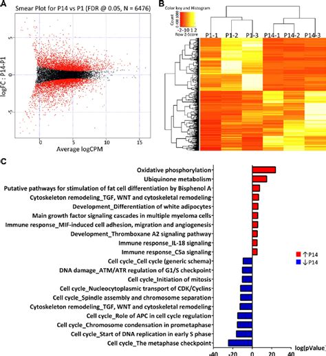 Rna Sequencing Data Reveal Thyroid Signature A Rna Seq Heatmap Of The
