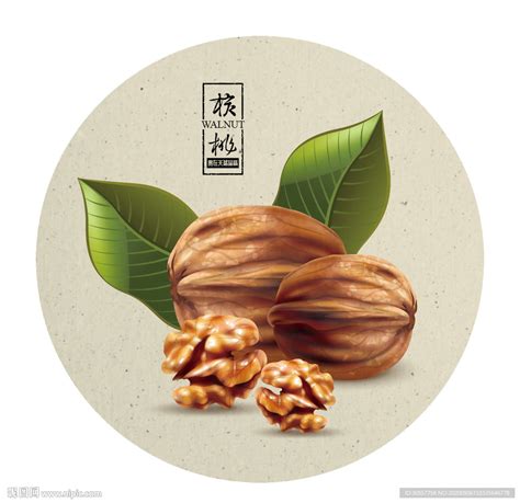 手绘核桃矢量干果设计图 广告设计 广告设计 设计图库 昵图网