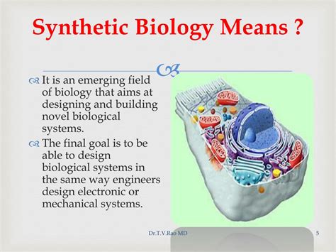 PPT Synthetic Biology PowerPoint Presentation Free Download ID