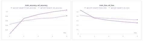 customizing training loops in tensorflow 2 0 articles weights and biases