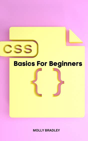 Css Basics For Beginners Ebook By Molly Bradley Epub Book Rakuten Kobo