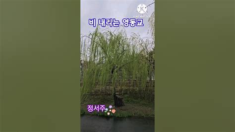많은 비비내리는영동교정서주미스트롯3 Youtube