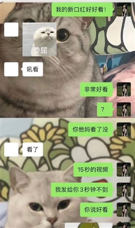 爸爸拍照能有多敷衍 搜狐大视野 搜狐新闻