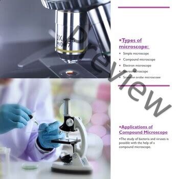 Microscope PowerPoint Lesson By Biologystem TPT