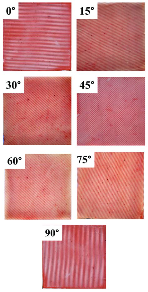 Anisotropic Synthetic Skin With Varying Fiber Angles Download Scientific Diagram