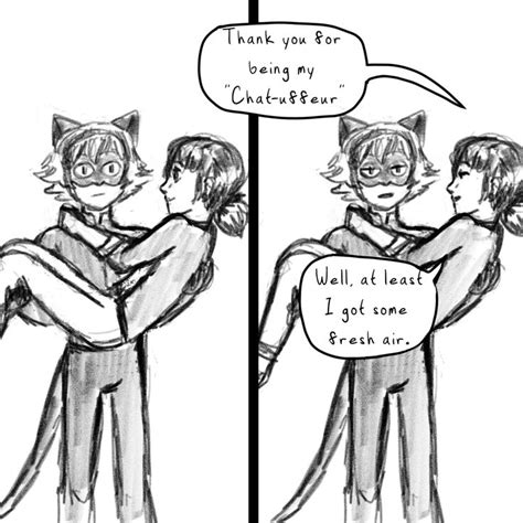 Marichat Tumblr Miraculous Ladybug Memes Miraculous Ladybug Fan