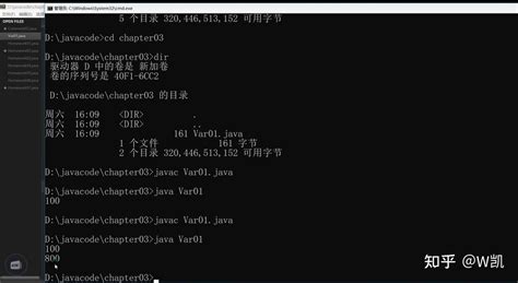 【韩顺平 零基础30天学会java】（第一阶段）第一章 变量（自用） 知乎