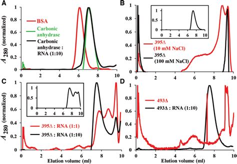 In Vitro Reconstitution Of Intragenic Complementation In Rnase E A