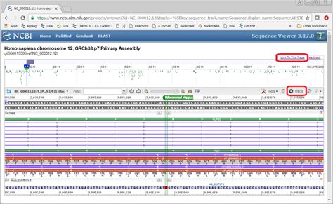 Using The Sequence Viewer Embedding Api